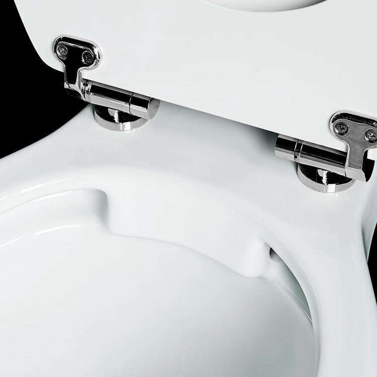 Burlington Rimless Close Coupled Toilet | Sanctuary Bathrooms