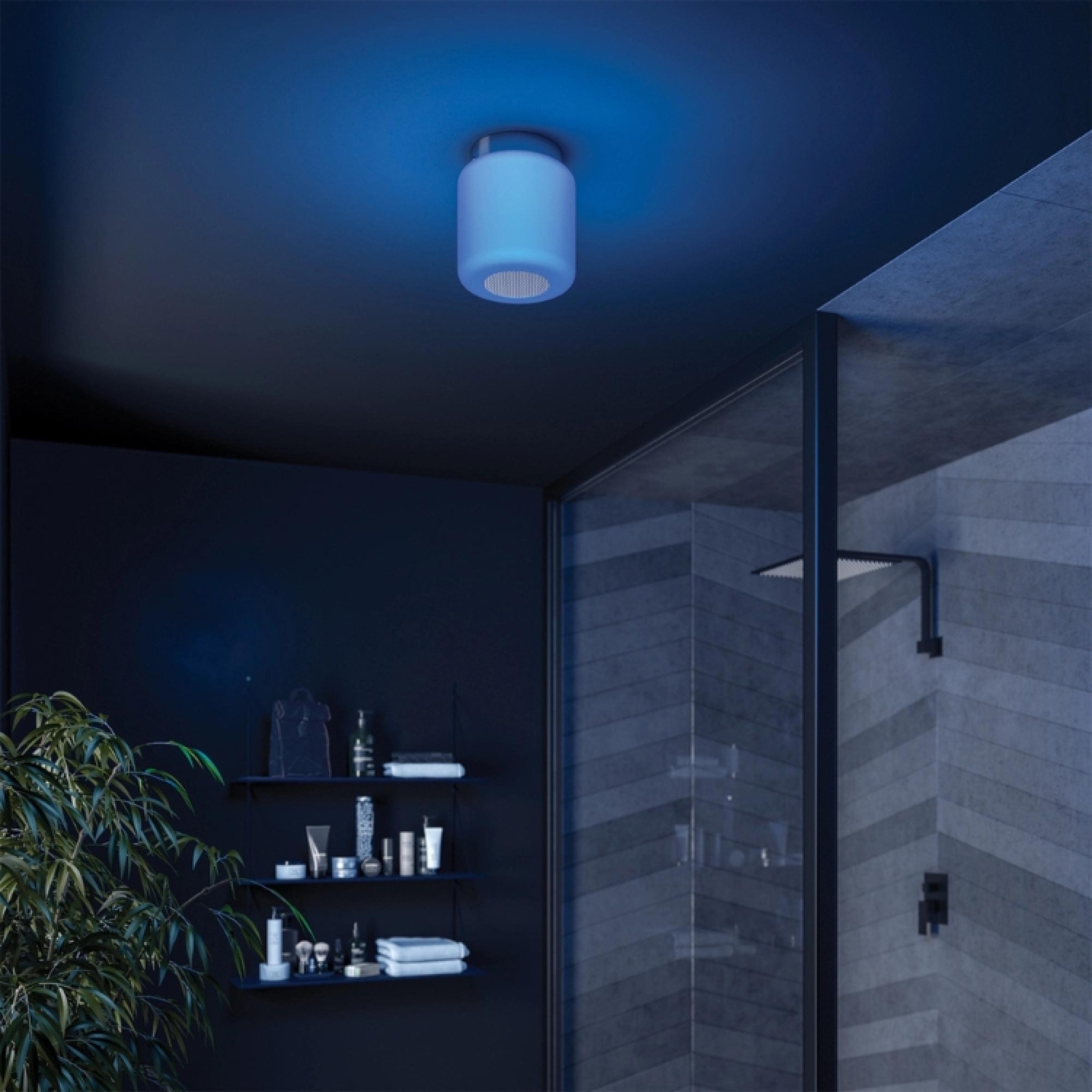 hib. Rhythm Bluetooth LED Ceiling Light | Sanctuary Bathrooms