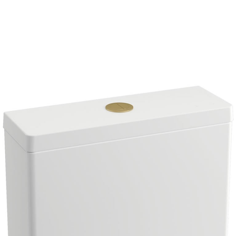 Britton Round Brushed Brass Dual Flush Button | Sanctuary Bathrooms