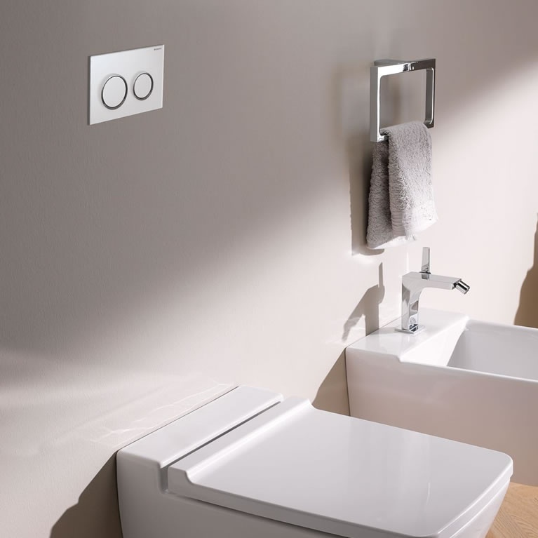 Geberit Omega20 Dual Flush Plate | Sanctuary Bathrooms