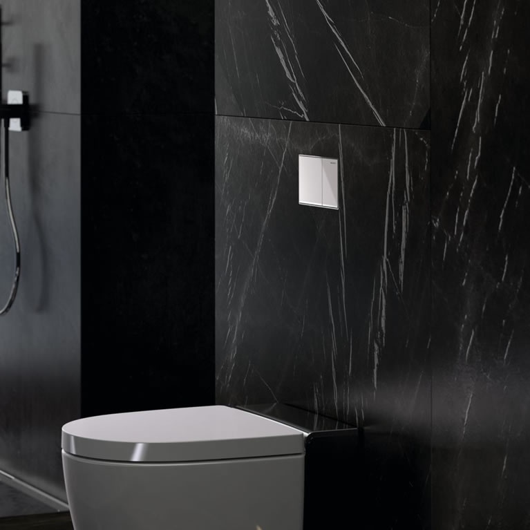 Geberit Omega60 Dual Flush Plate | Sanctuary Bathrooms