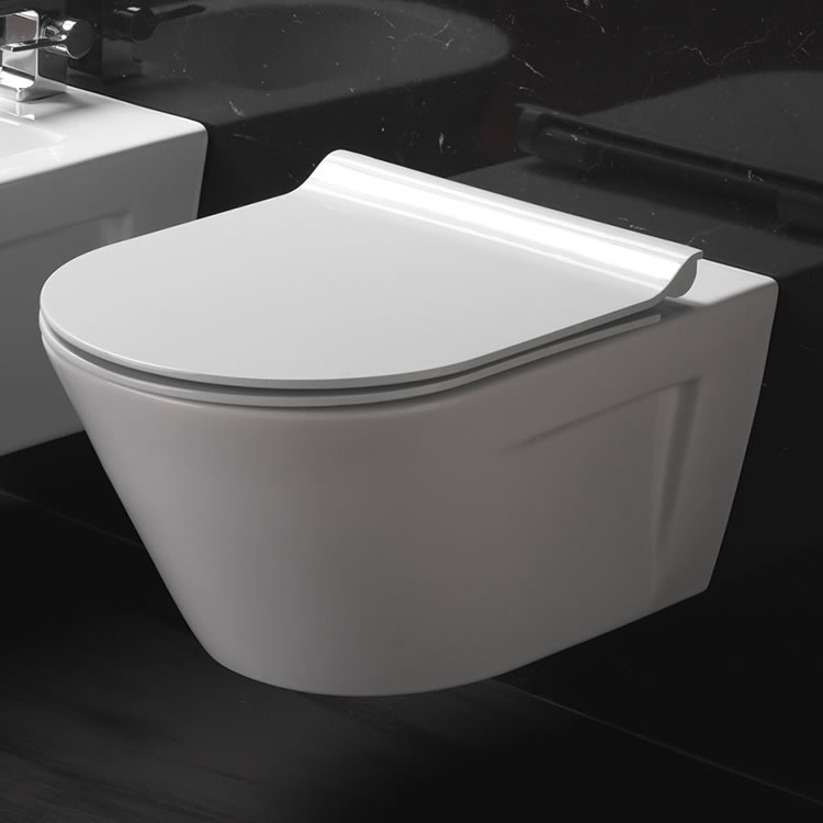 GSI Norm 55 Wall Hung WC Swirlflush | Sanctuary Bathrooms