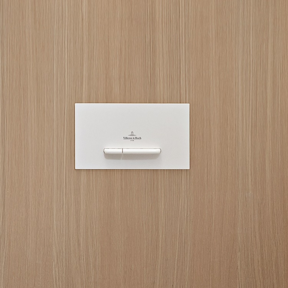 Villeroy & Boch White ViConnect E300/300S Flush Plate | Sanctuary Bathrooms