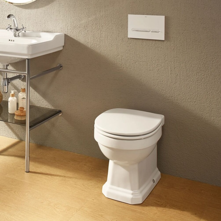 Roca Carmen Rimless Back to Wall Toilet | Sanctuary Bathrooms