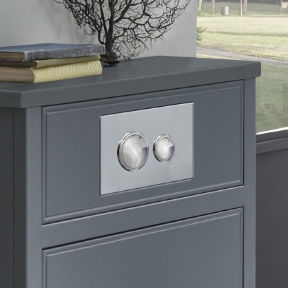 Tavistock Chrome Traditional Dual Flush Plate | Sanctuary